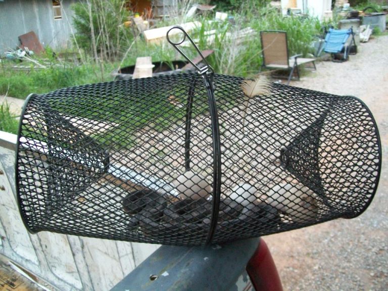 How To Get Rid Of Snakes, Snakes In Yard - Copperhead Snakes